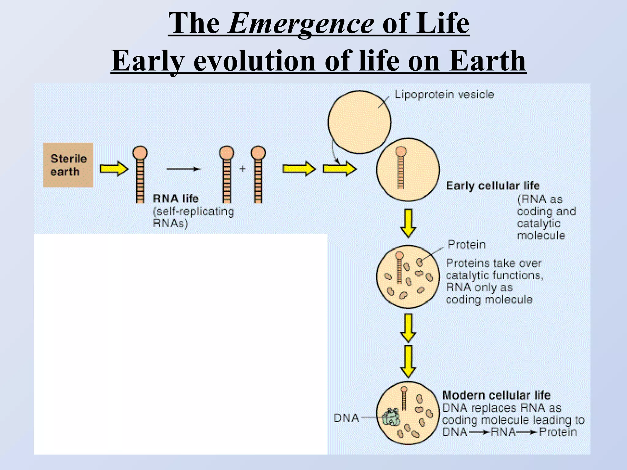History of life on earth | PPT