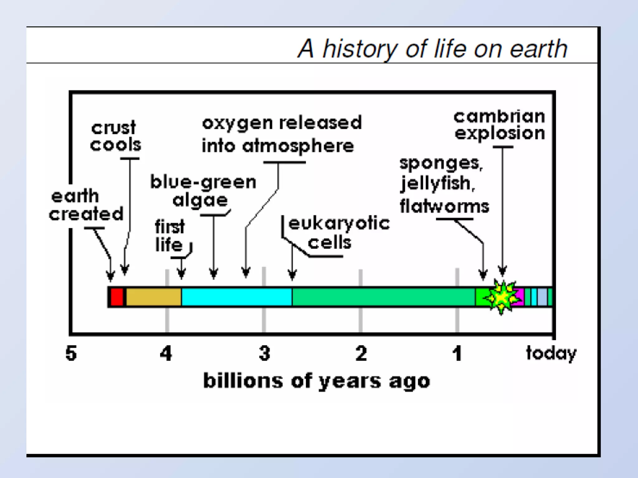 History of life on earth | PPT
