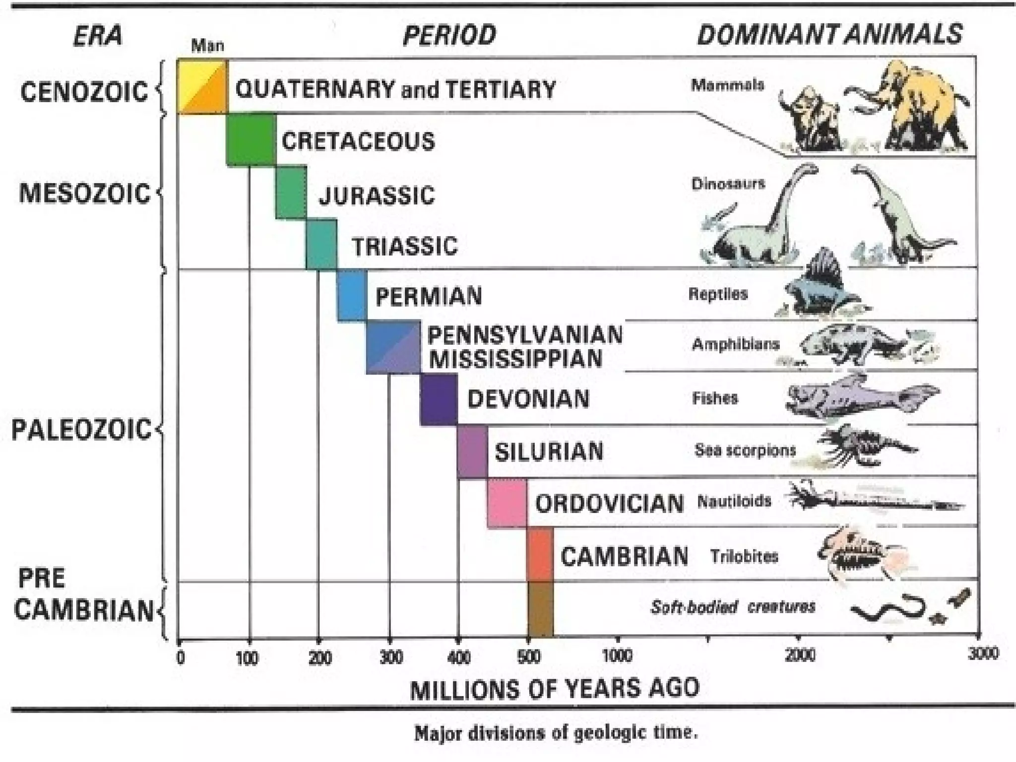 History of life on earth | PPT