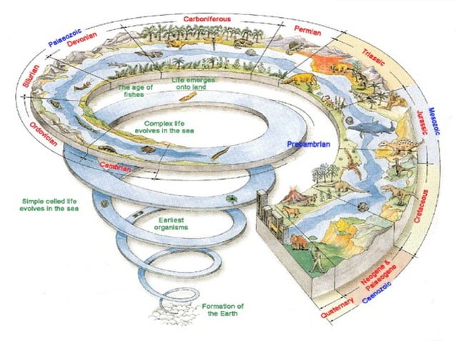 History of life on earth | PPT
