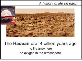 History of life on earth | PPT