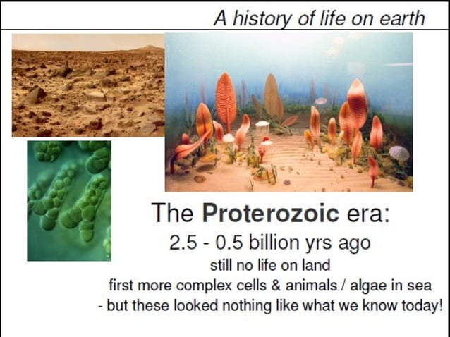 History of life on earth | PPT