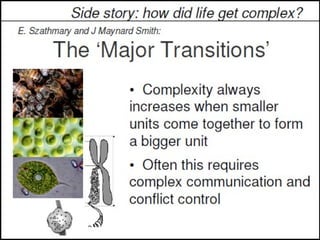 History of life on earth | PPT