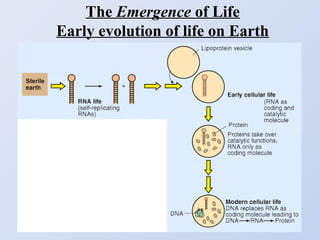 History of life on earth | PPT