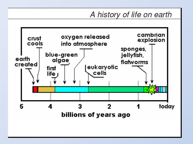 History of life on earth | PPT
