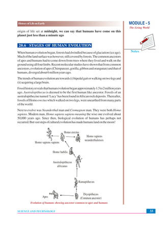 History of life on earth | PDF | Biological Sciences | Science
