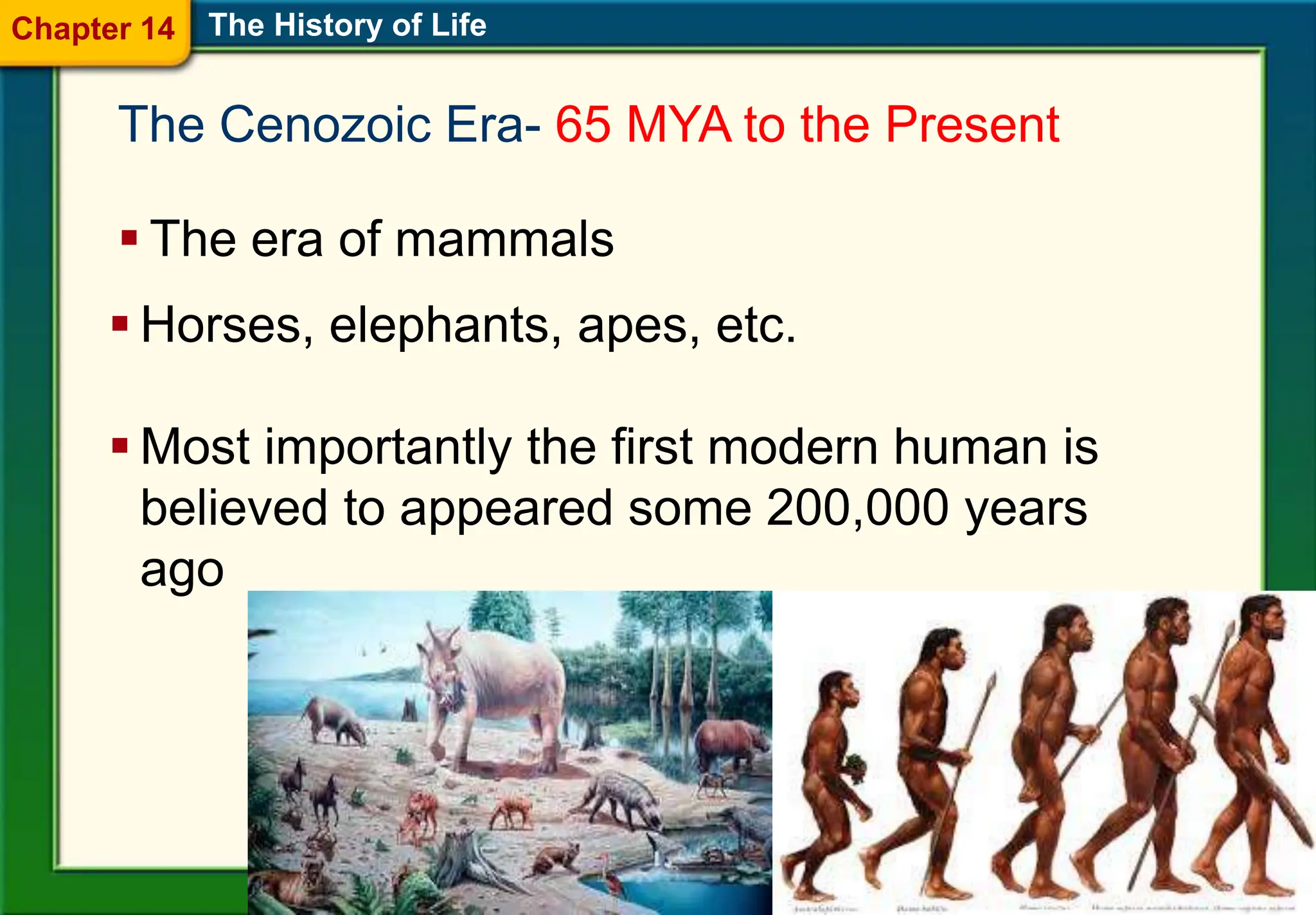 History of Life ppt Biology life science .pptx