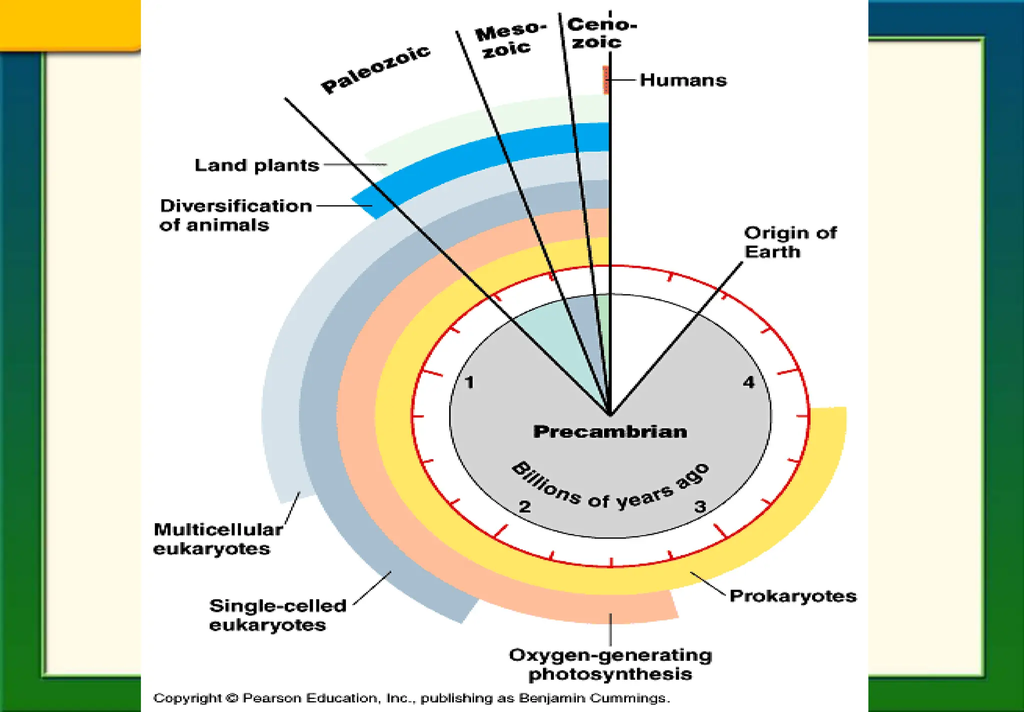 History of Life ppt Biology life science .pptx