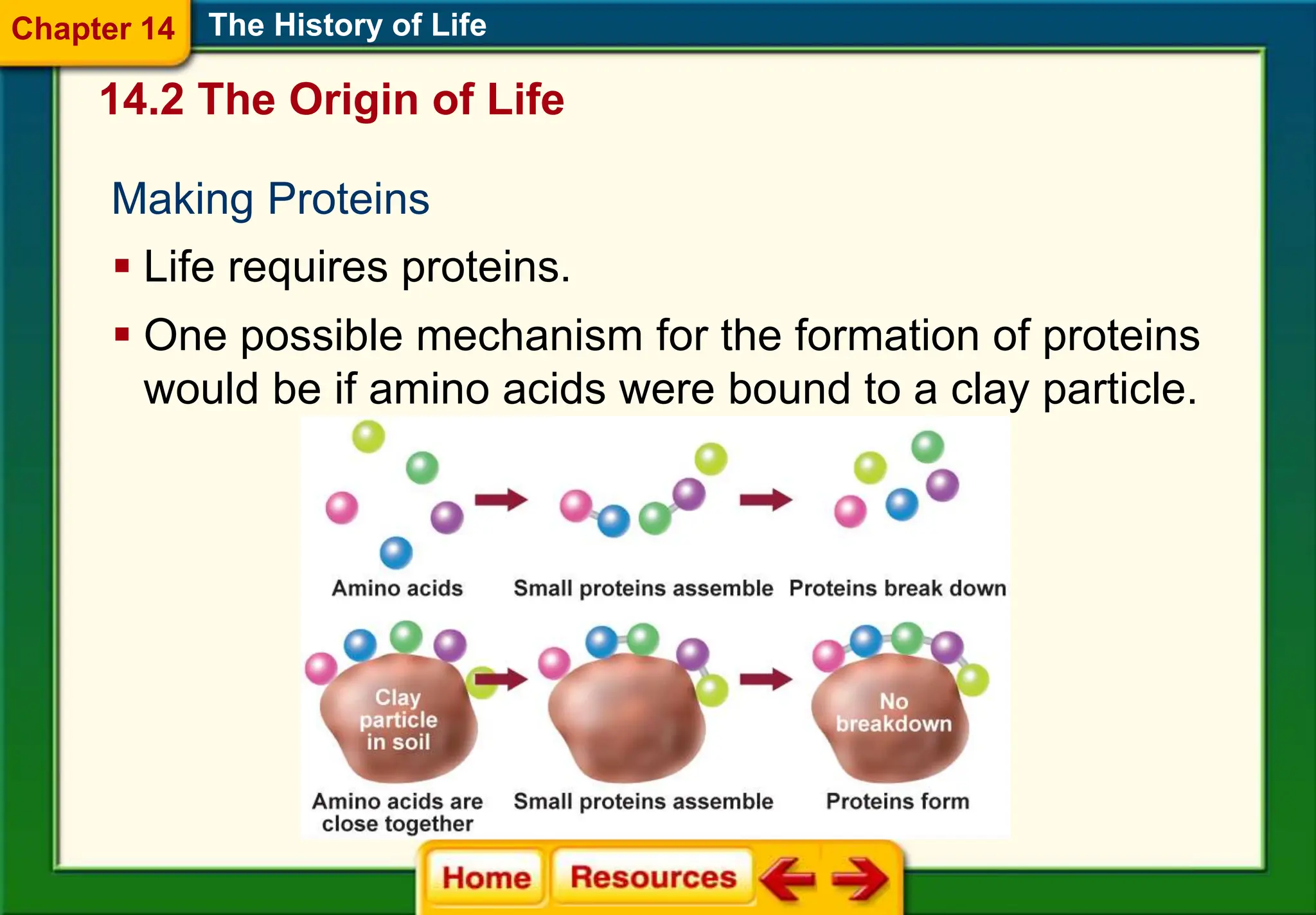 History of Life ppt Biology life science .pptx