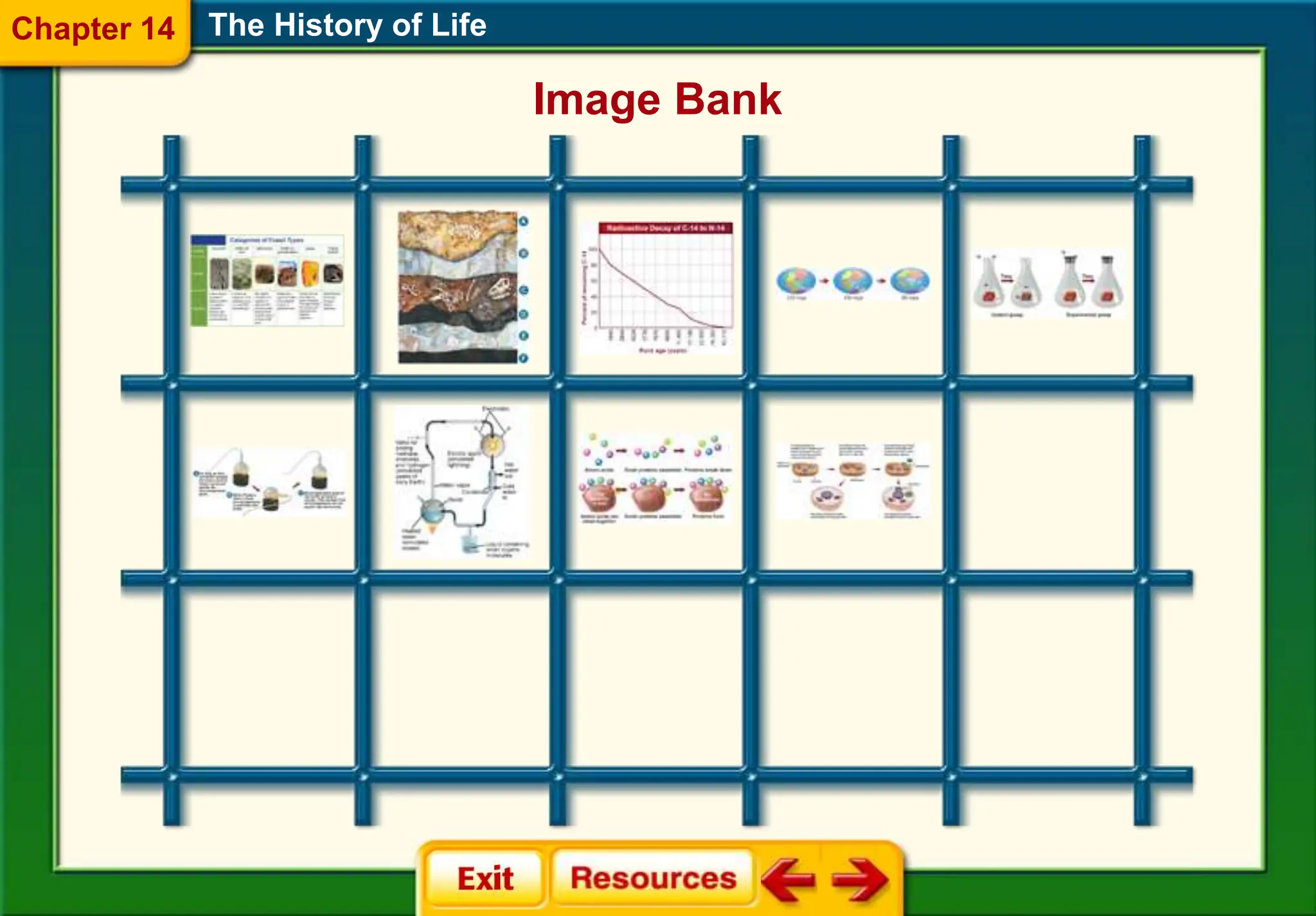 History of Life ppt Biology life science .pptx