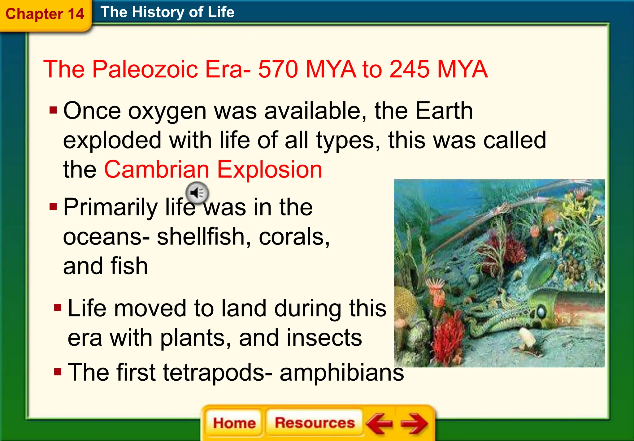 History of Life ppt Biology life science .pptx