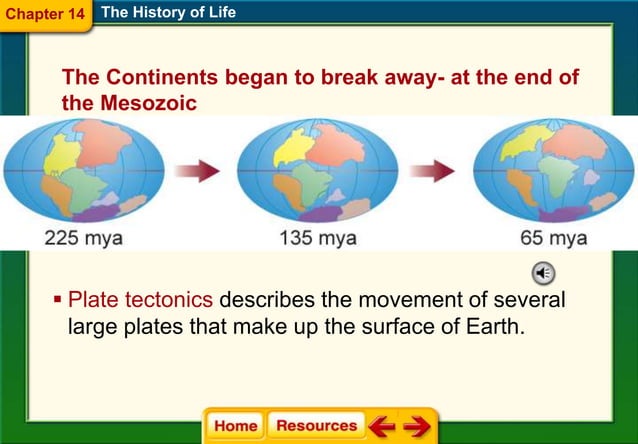 History of Life ppt Biology life science .pptx