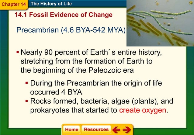 History of Life ppt Biology life science .pptx