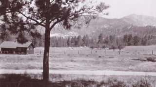 History of Living Free | PPT