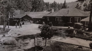 History of Living Free | PPT