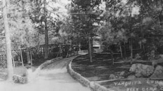 History of Living Free | PPT