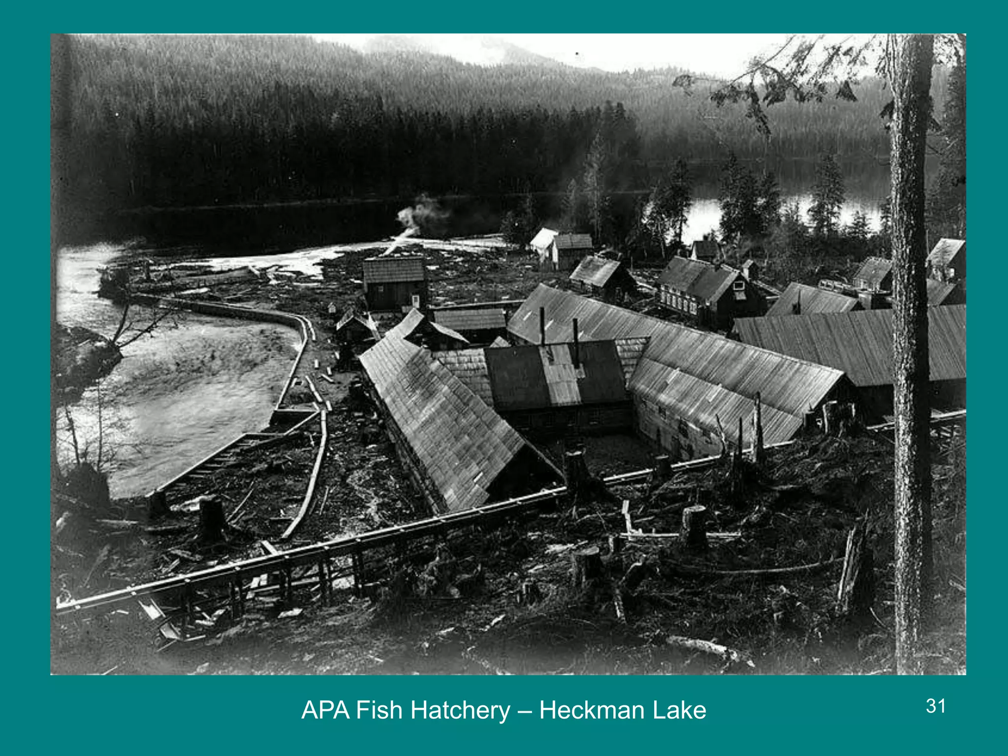 History of Loring, Alaska | PPTX