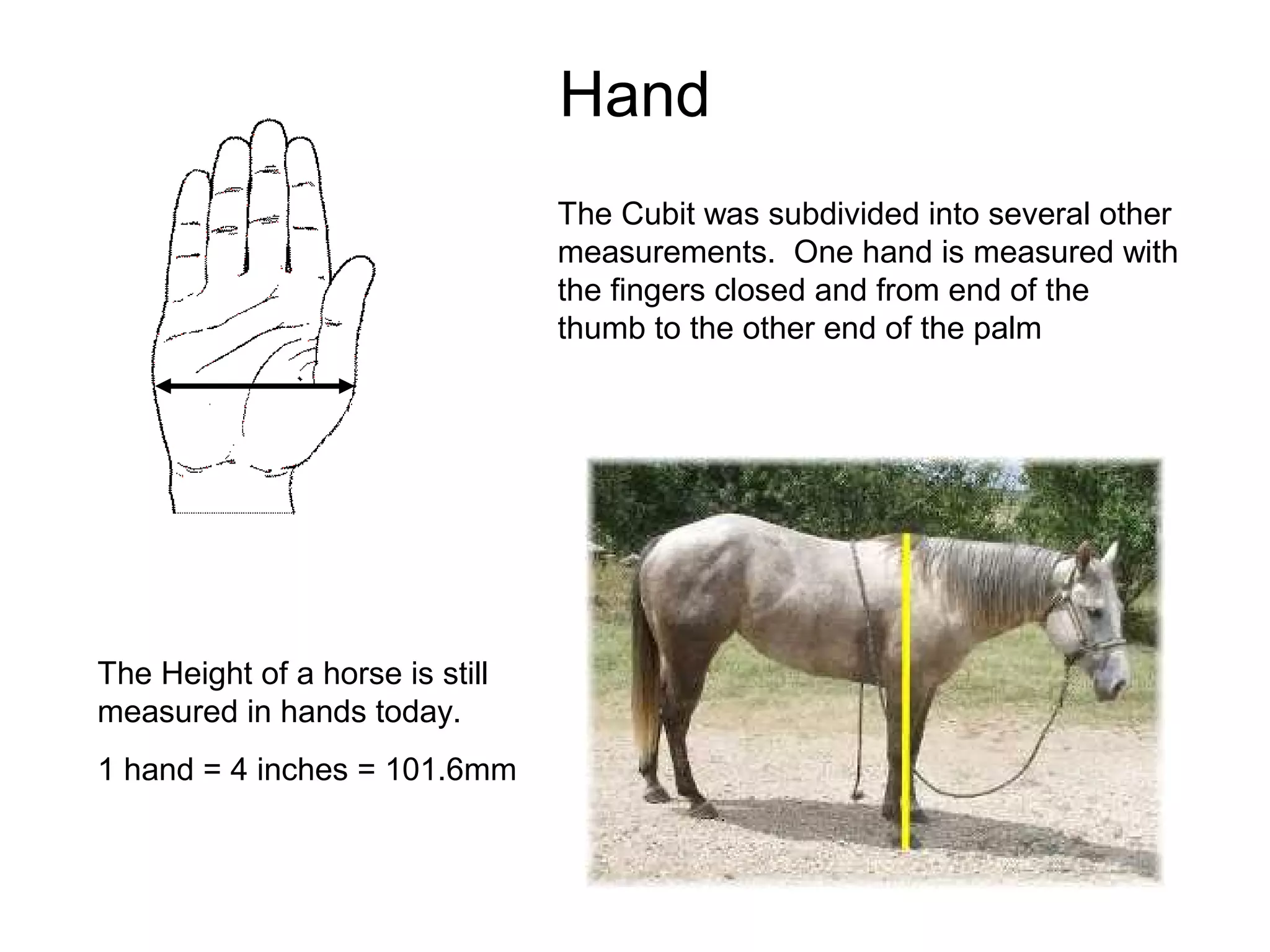 History of measurements | PPT