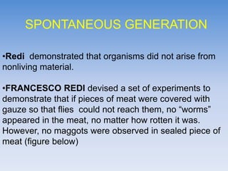 History of microbiology | PPTX