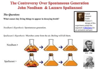 History of microbiology | PPTX | Biological Sciences | Science