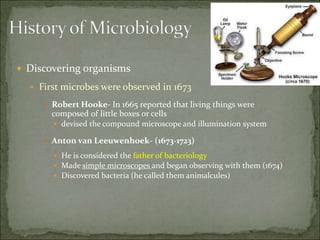 History of microbiology | PPT | Chemistry | Science