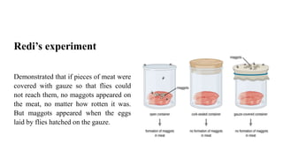History of microbiology | PPTX
