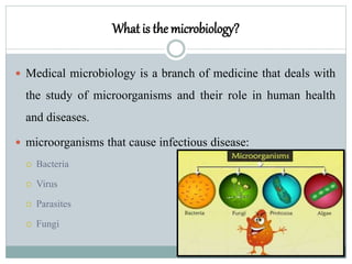 History of microbiology | PPTX