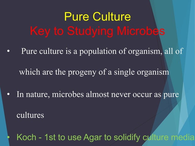 History of Microbiology.pptx
