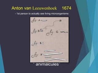 History of Microbiology.pptx