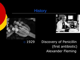 History of Microbiology.ppt