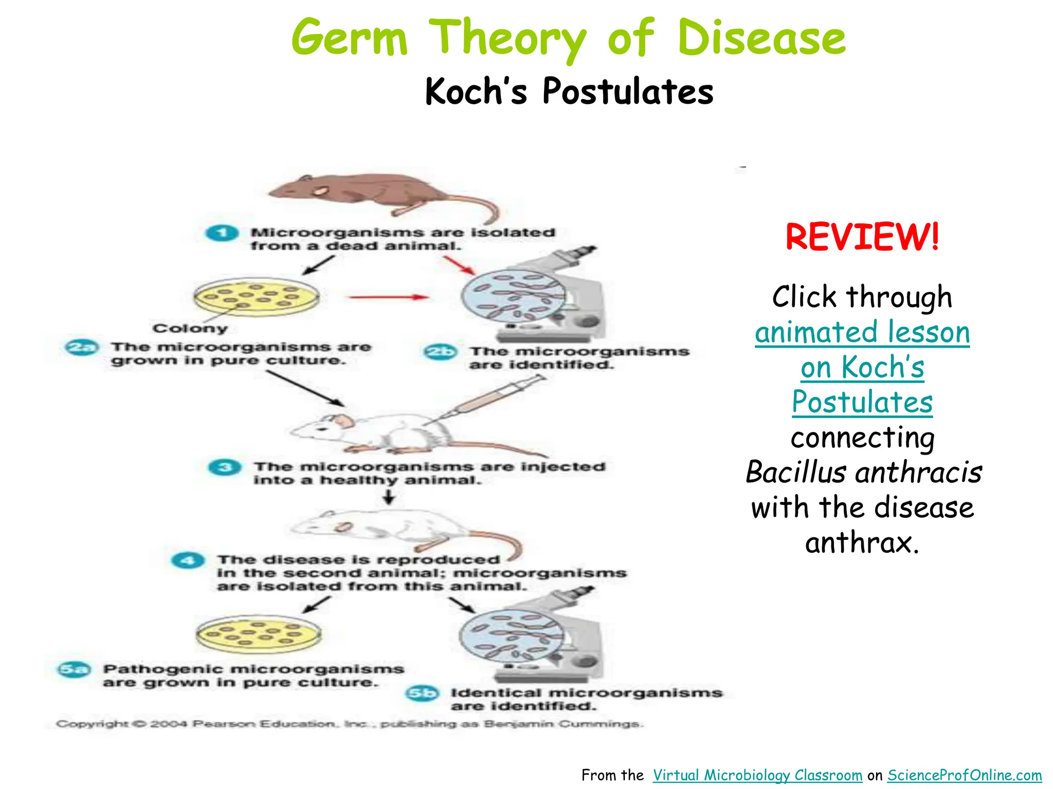 History of Microbiology, History, Microbiology | PPTX