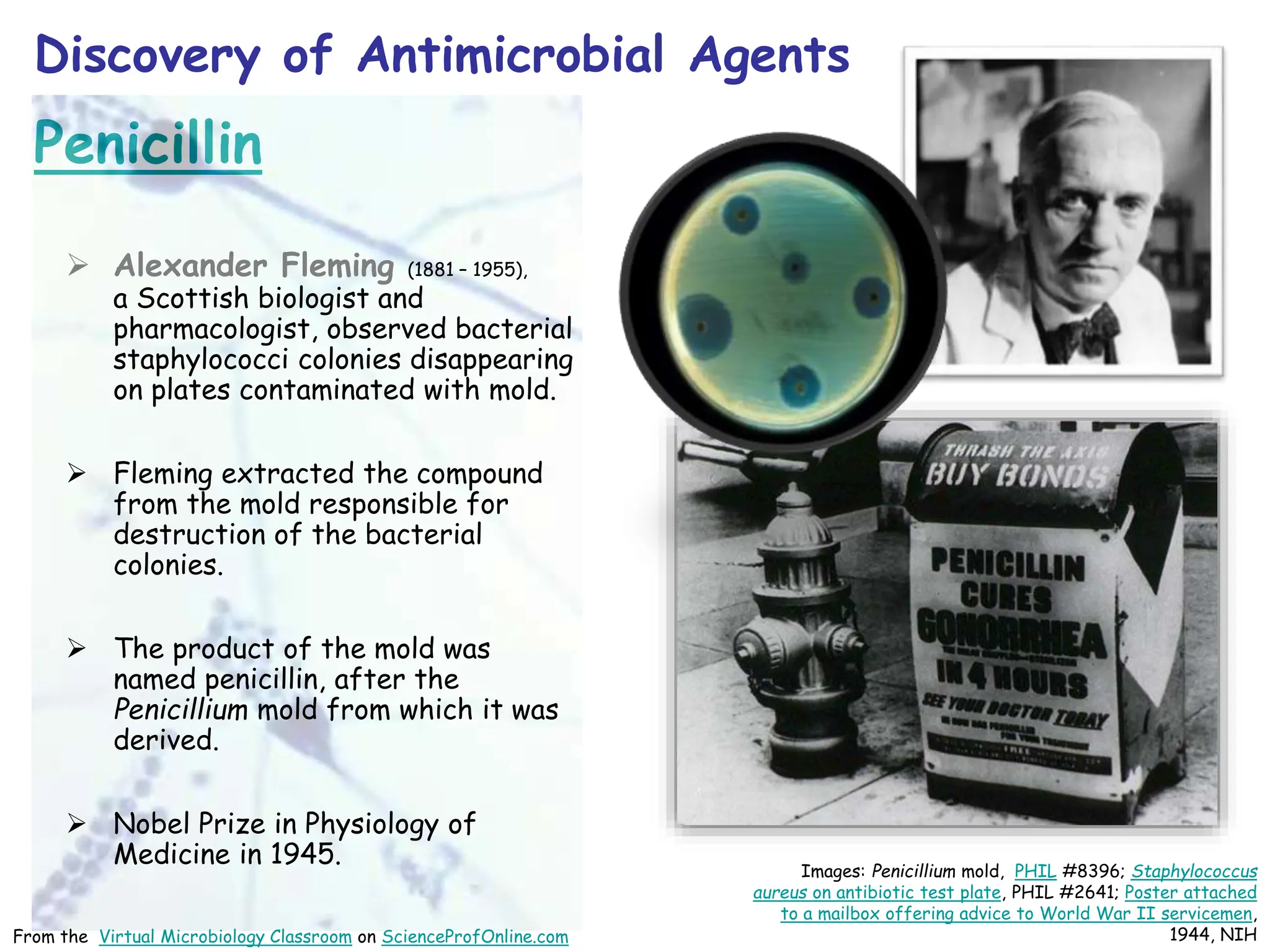 History of Microbiology, History, Microbiology | PPTX