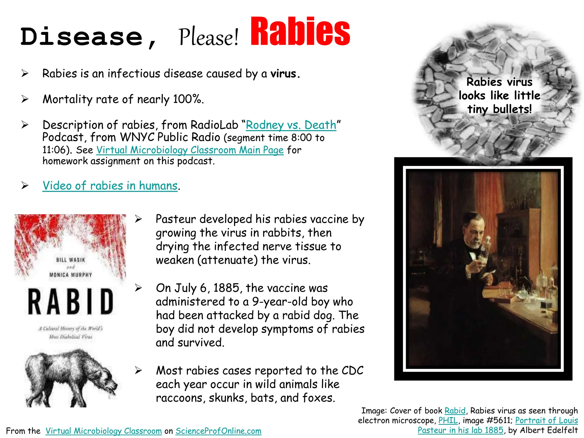 History of Microbiology, History, Microbiology | PPTX