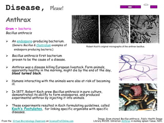 History of Microbiology, History, Microbiology | PPTX