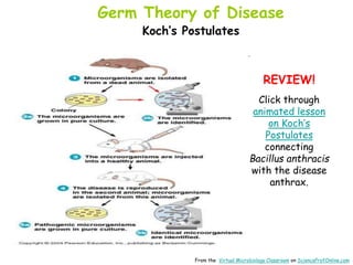 History of Microbiology, History, Microbiology | PPTX