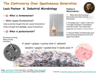 History of Microbiology, History, Microbiology | PPTX