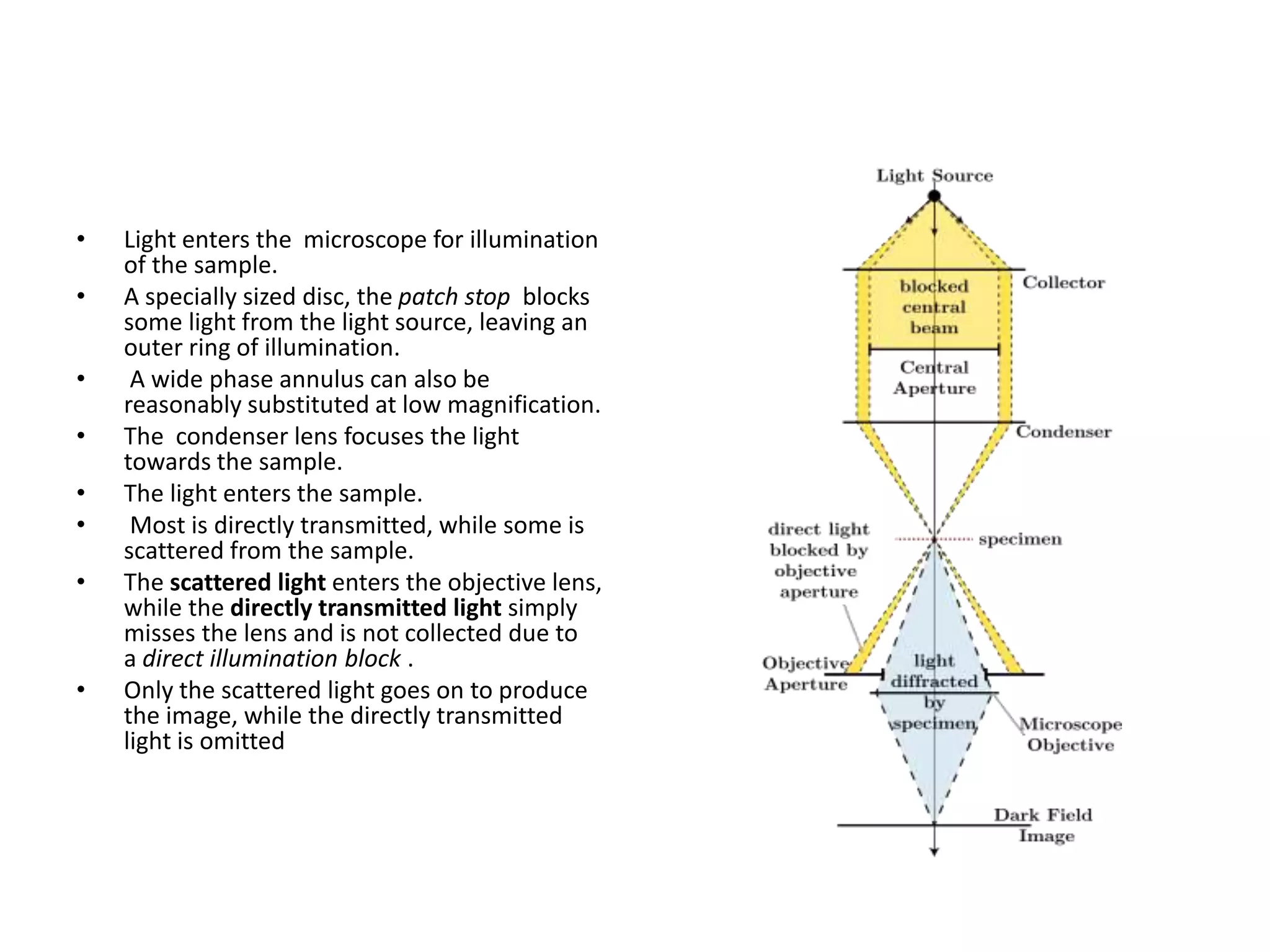 History of microbiology and types of microscope | PPT