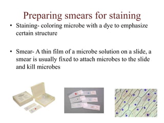 History of microbiology and types of microscope | PPTX