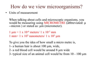 History of microbiology and types of microscope | PPTX