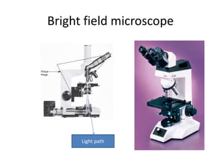 History of microbiology and types of microscope | PPT