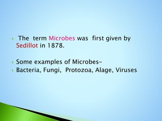 History of Microbiology CHITRA.pptx