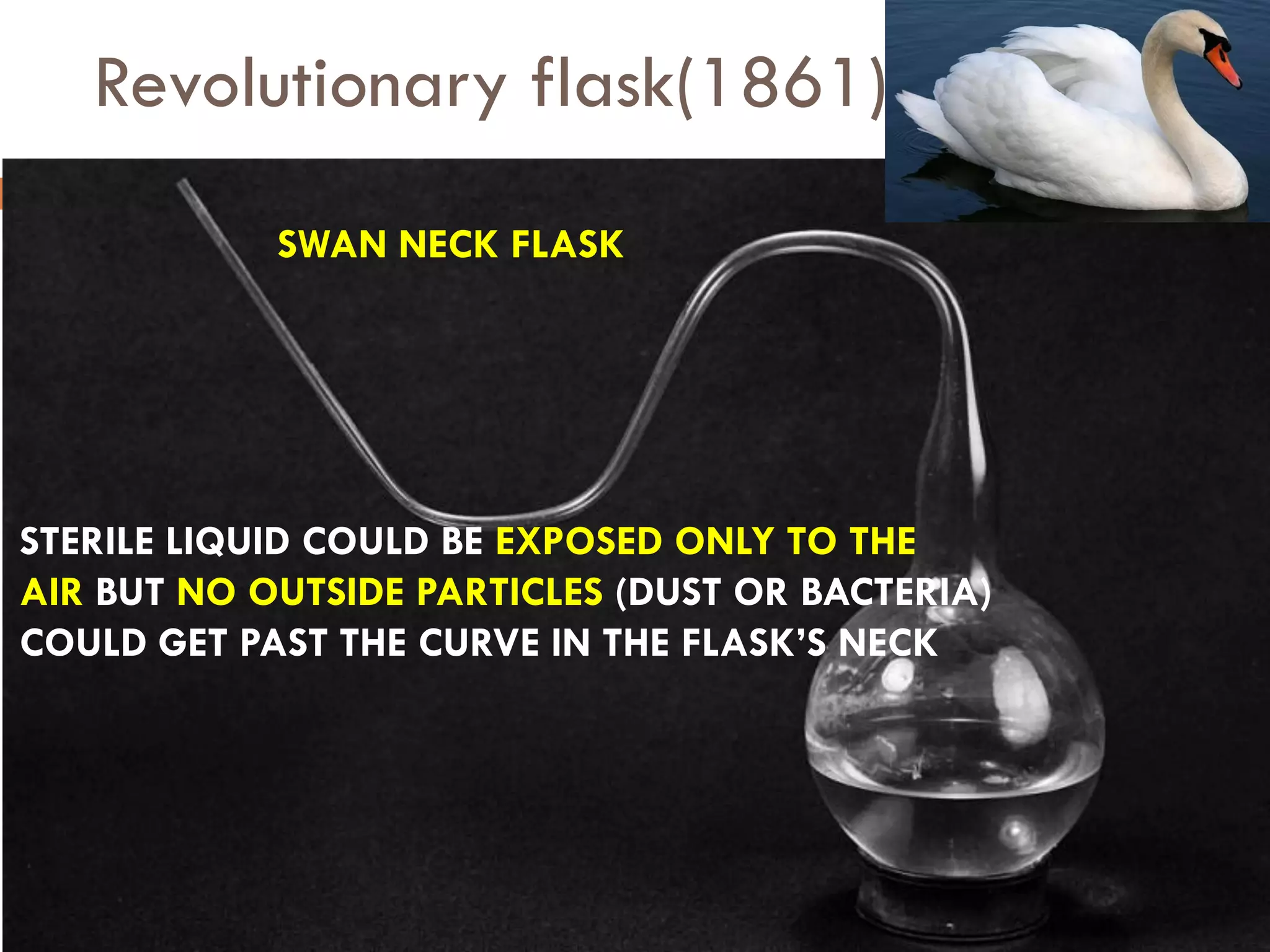 History of microbiology @sirohiujjwal | PDF