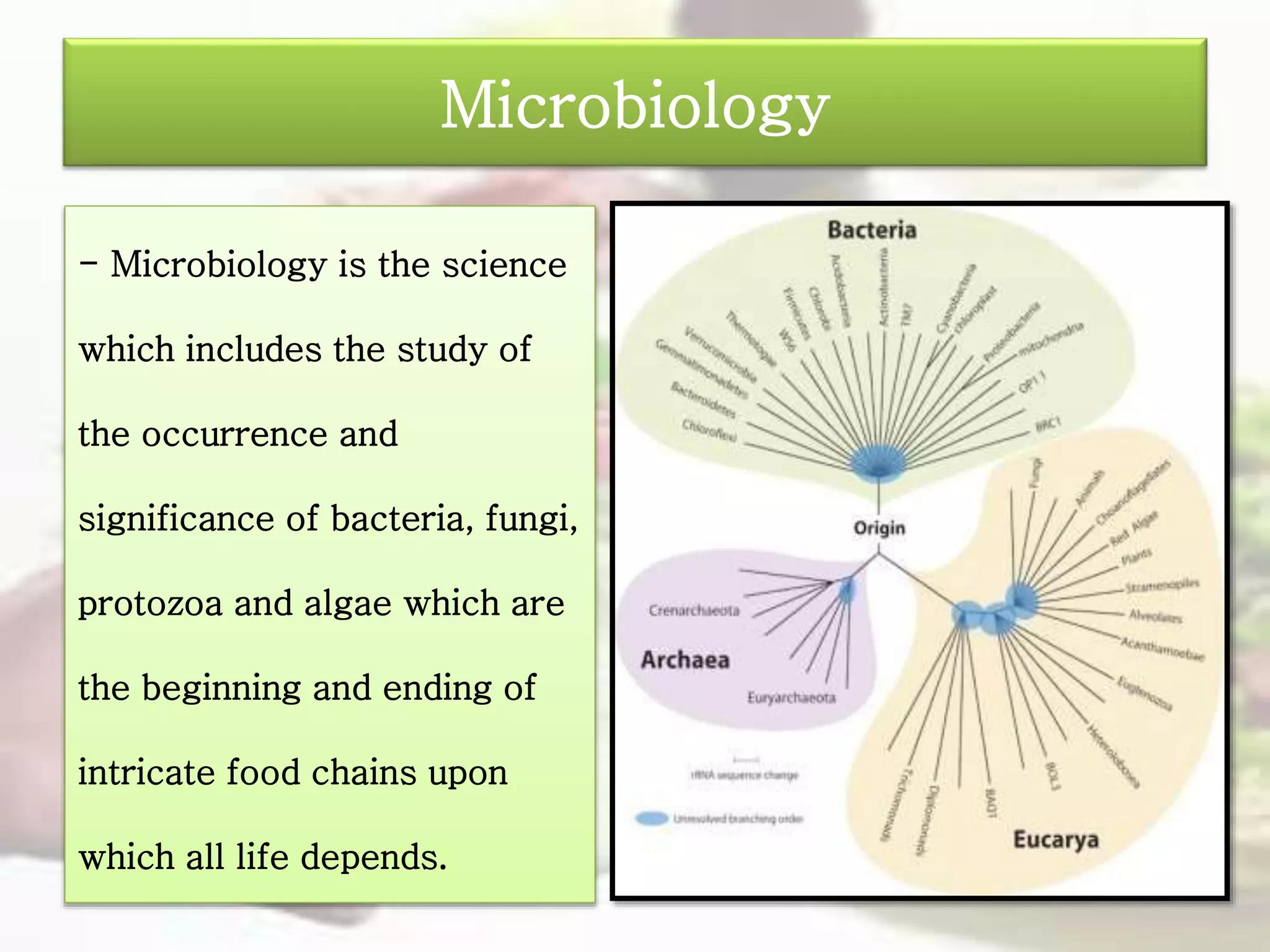 History of microorganisms in food | PPTX