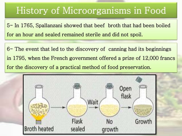 History of microorganisms in food | PPTX | Biological Sciences | Science