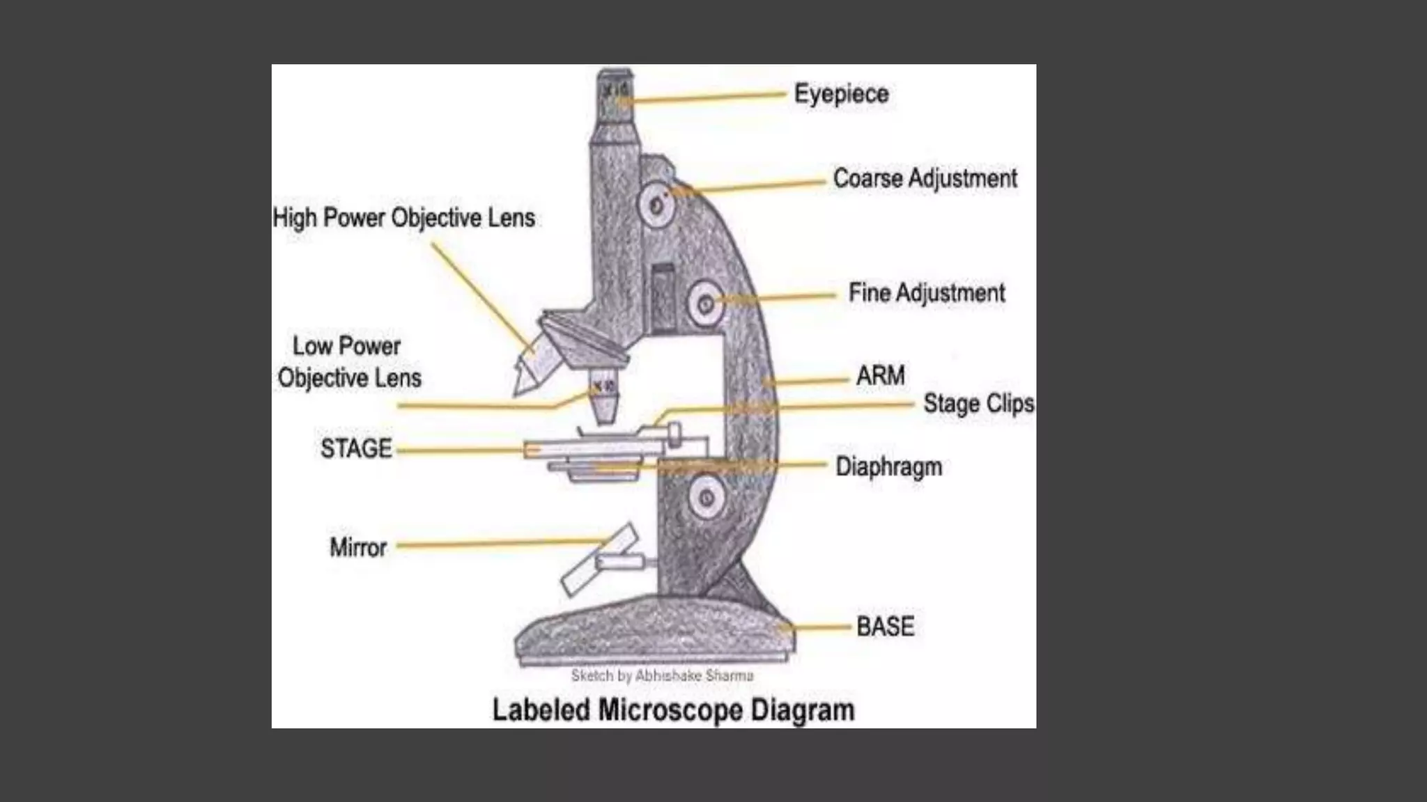 History of microscopy | PPTX