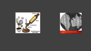History of microscopy | PPTX