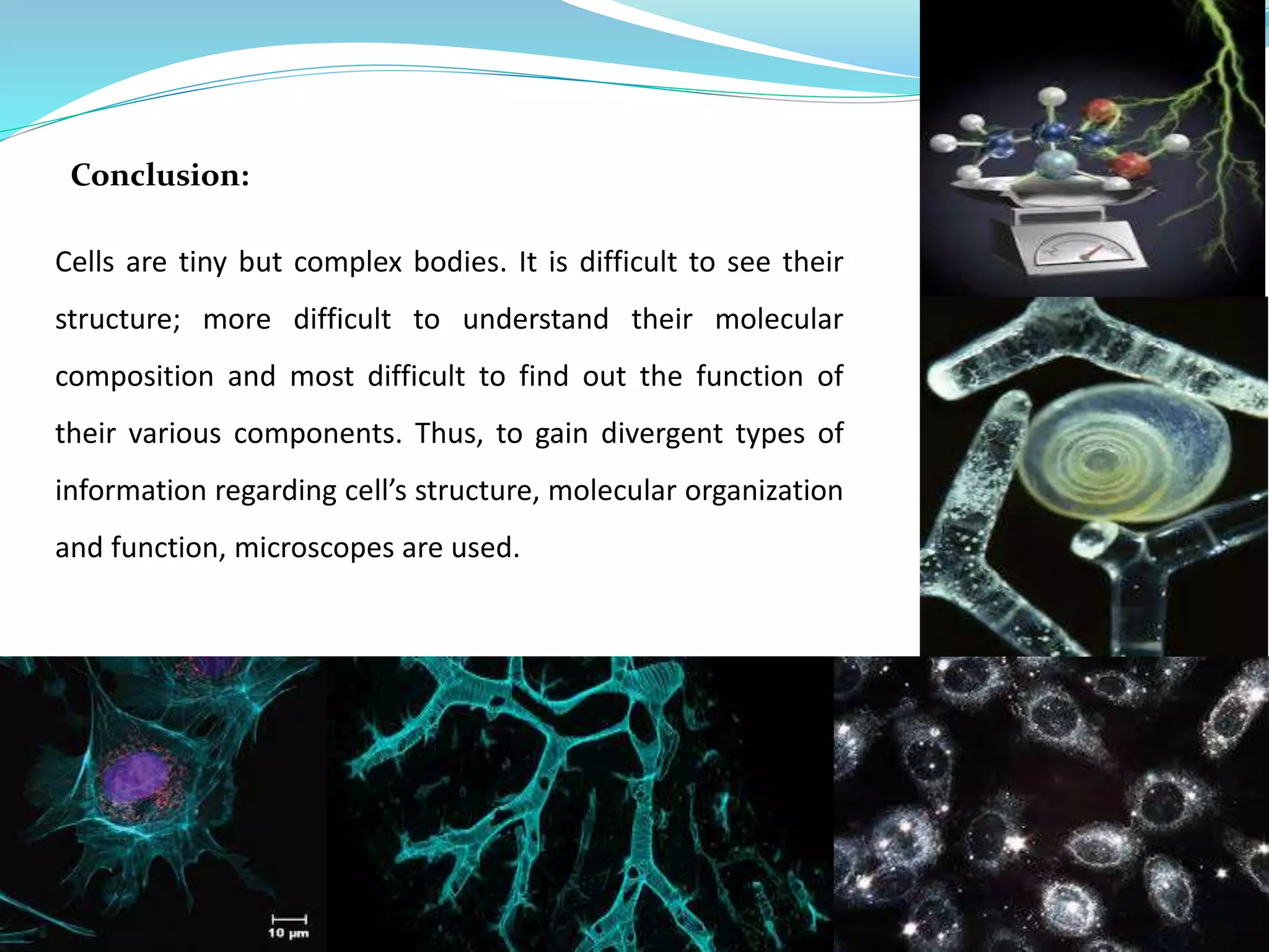 History of microscope for the study of cell | PPTX