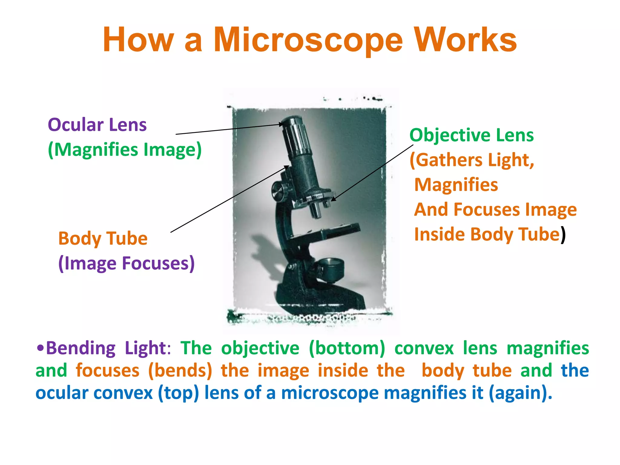 History of microscopy i | PPTX