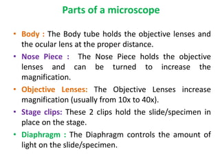 History of microscopy i | PPTX