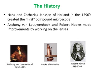 History of microscopy i | PPTX